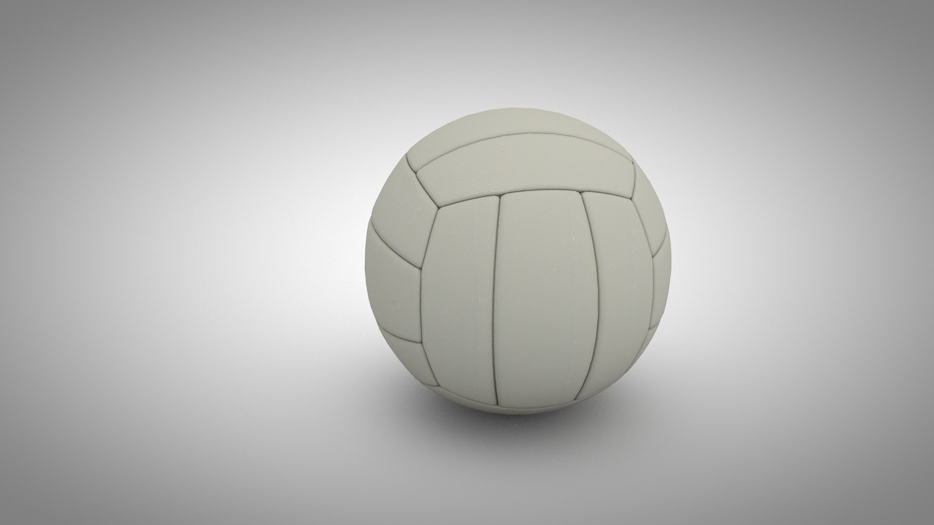 maya volley volleyball ball