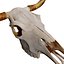 3d Bull Skull Model