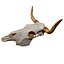 3d Bull Skull Model