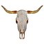 3d Bull Skull Model