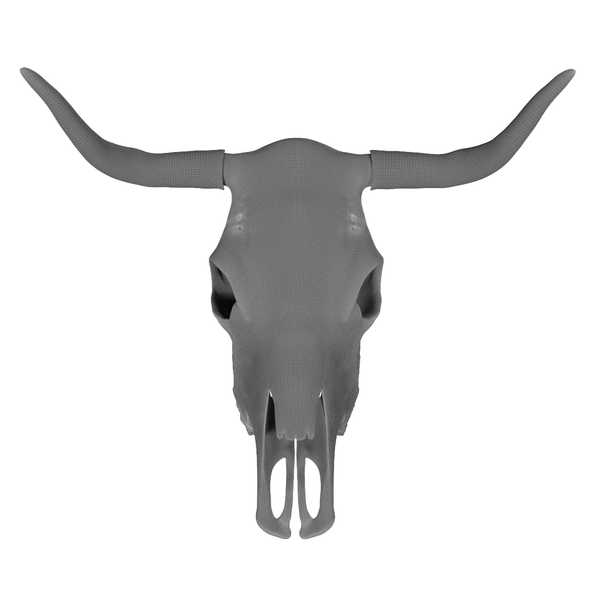 3d bull skull model
