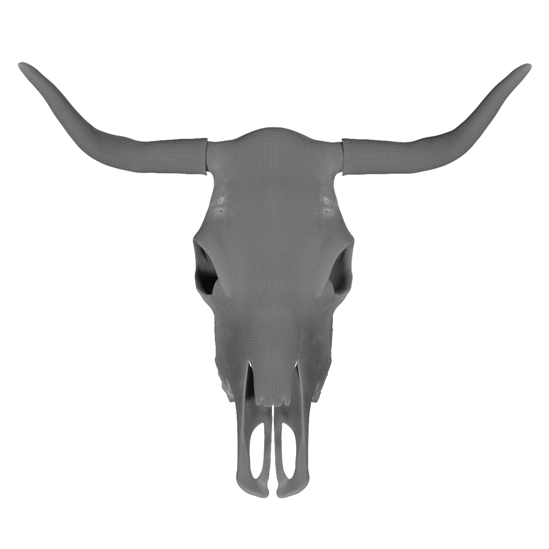 3d bull skull model