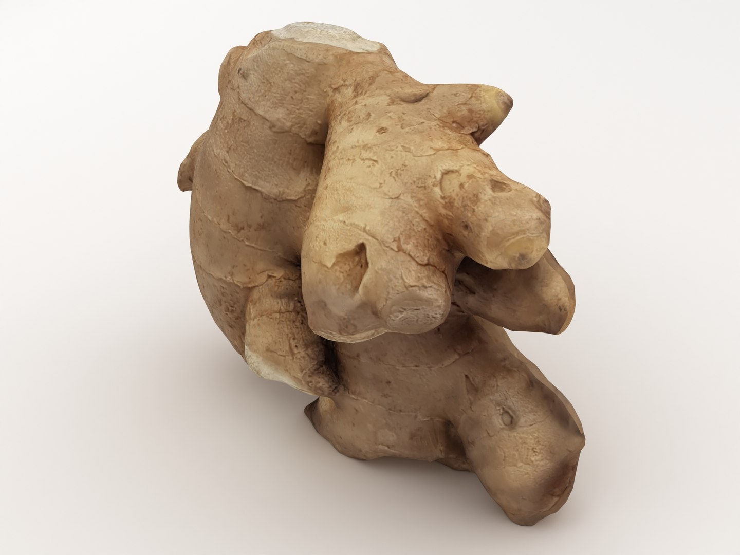 3D Scan Ginger Model - TurboSquid 1449660
