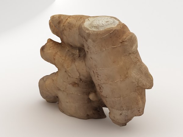 3D scan ginger model - TurboSquid 1449660