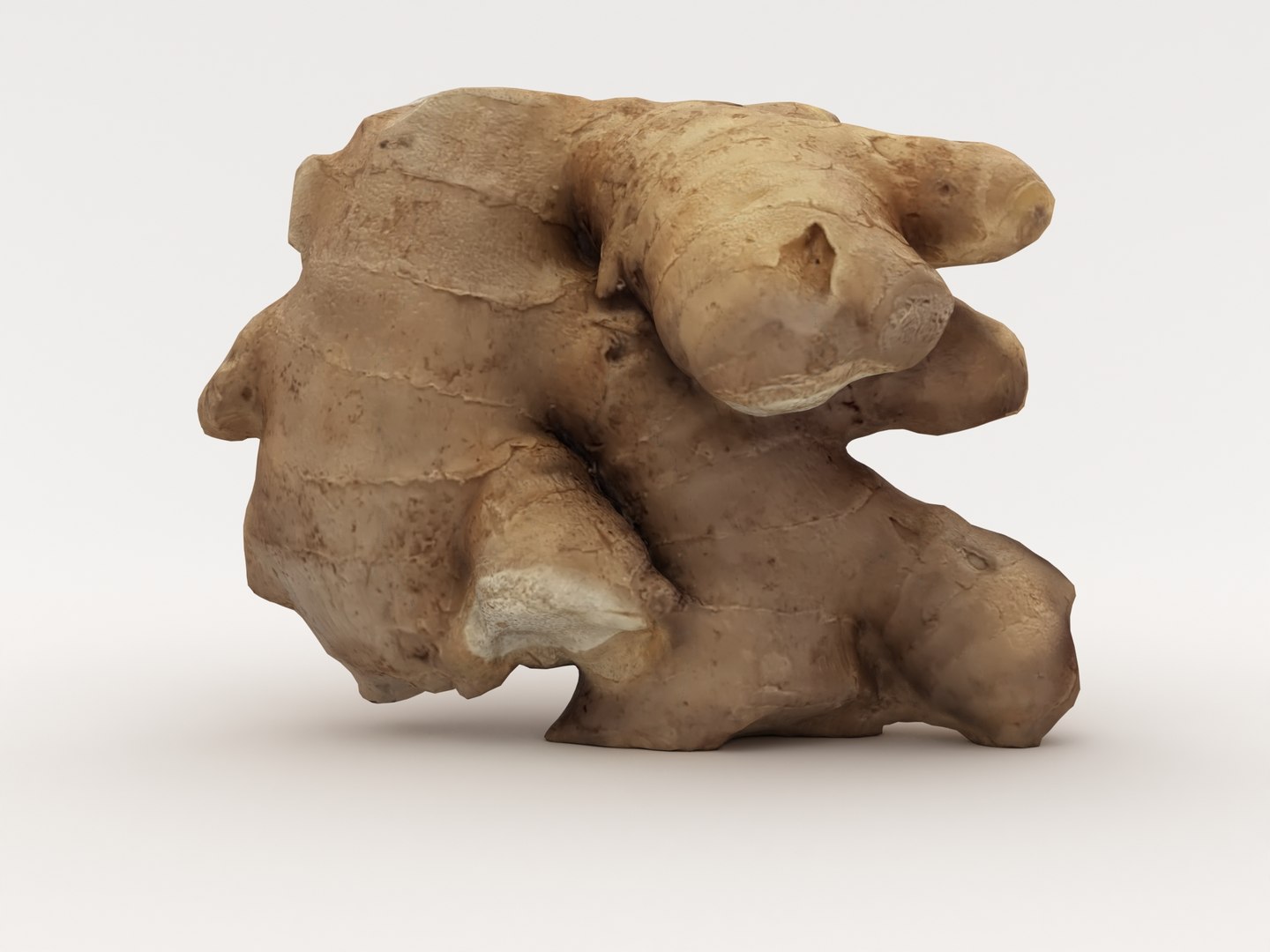 3D Scan Ginger Model - TurboSquid 1449660