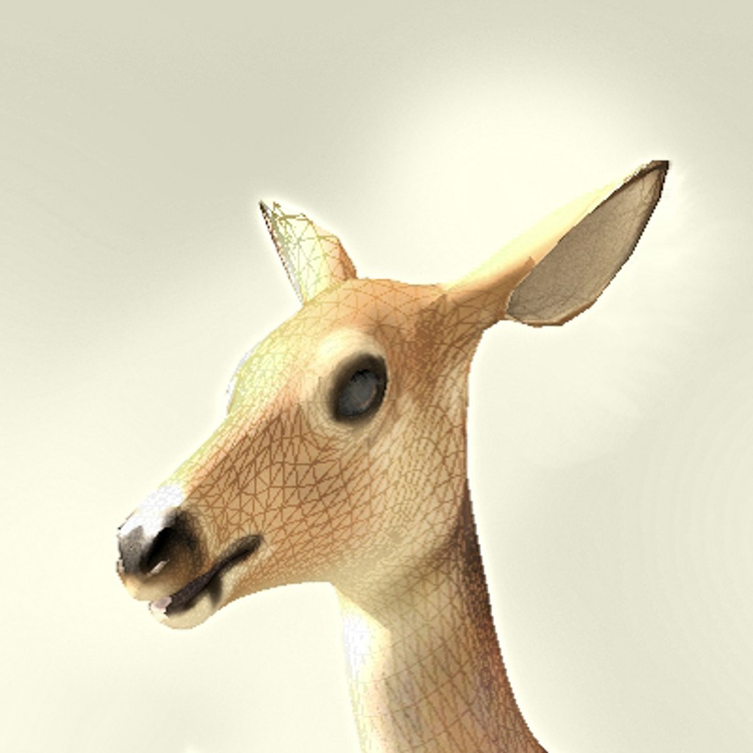 Lightwave 0 Doe Deer
