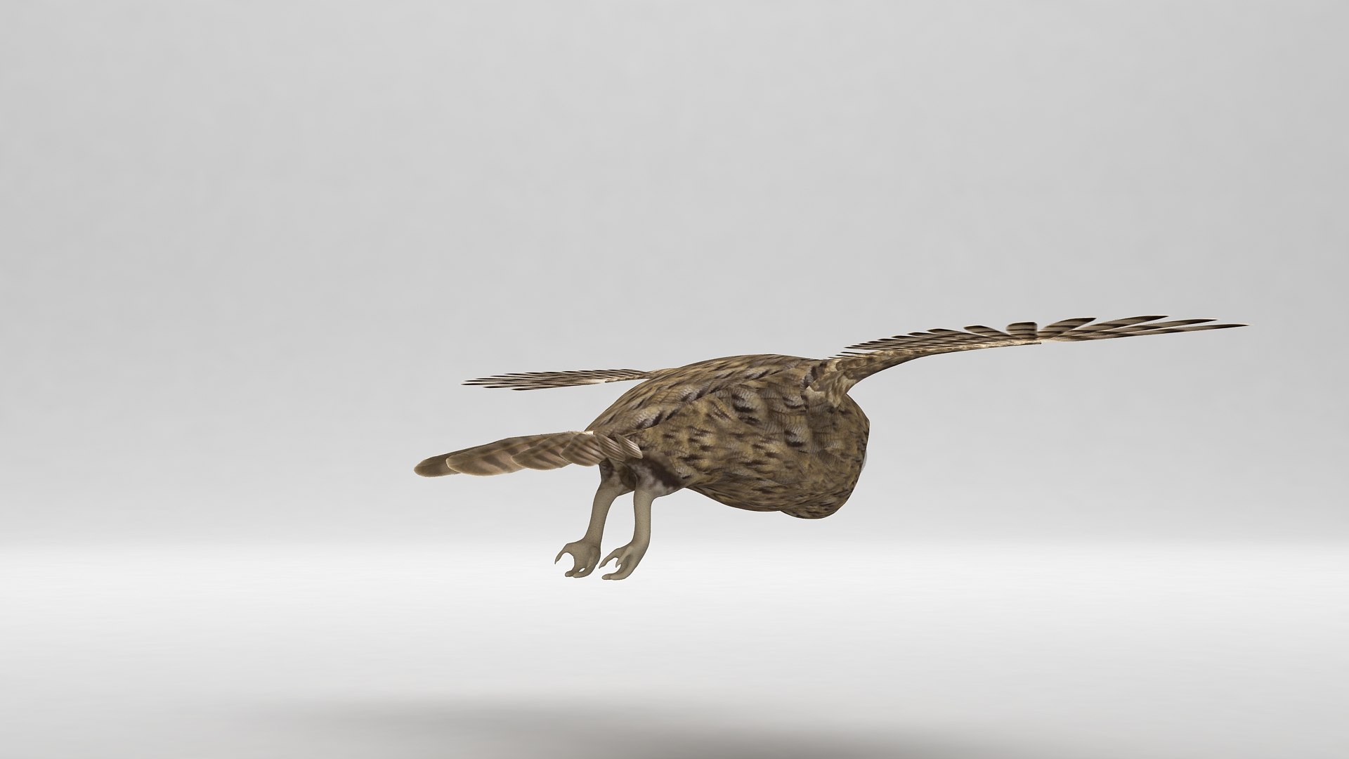 3D cartoon owl model - TurboSquid 1833553