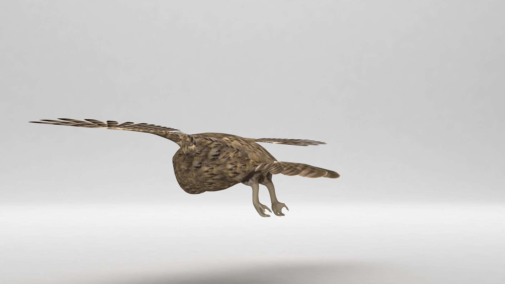 3D cartoon owl model - TurboSquid 1833553