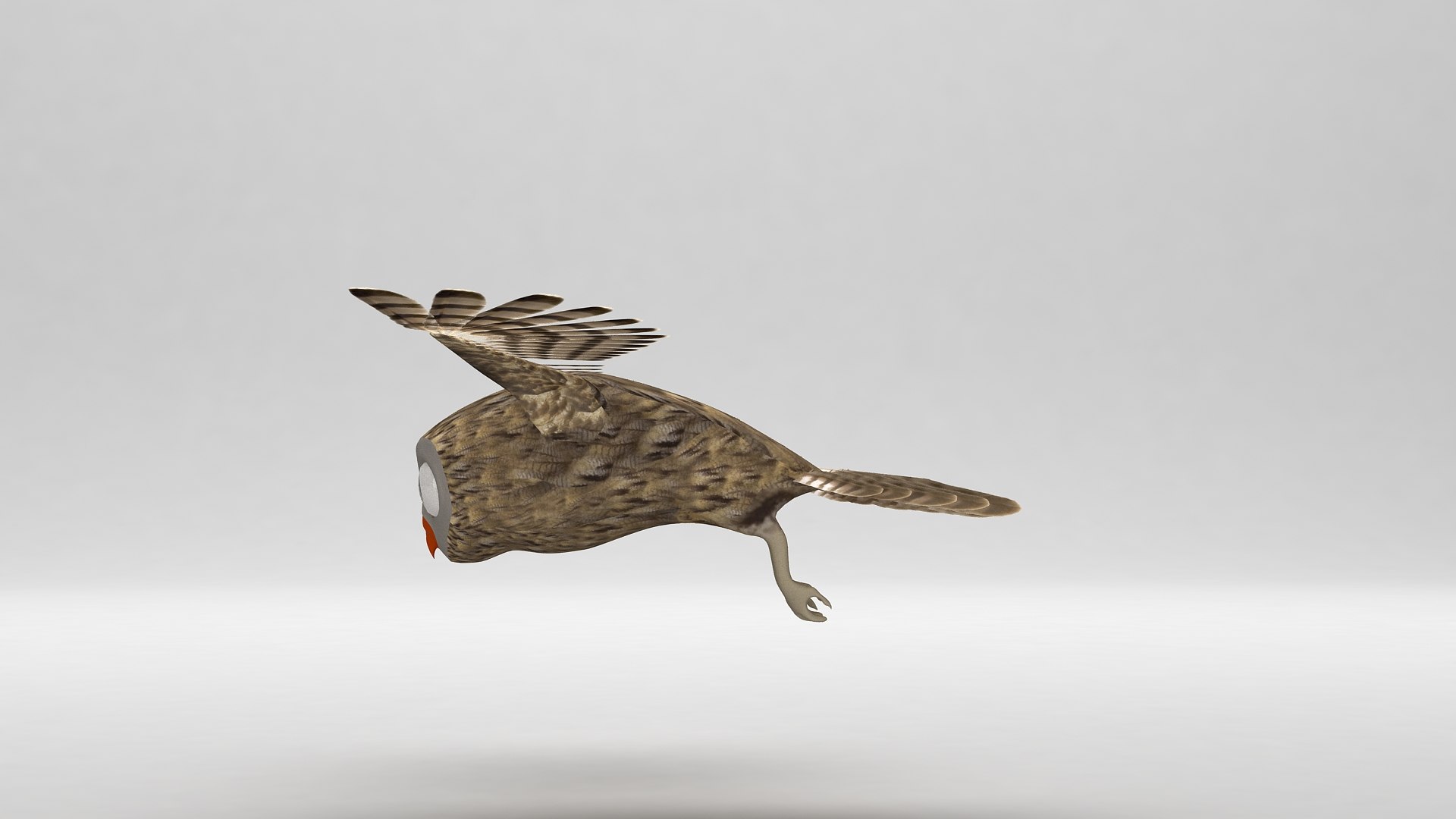 3D cartoon owl model - TurboSquid 1833553