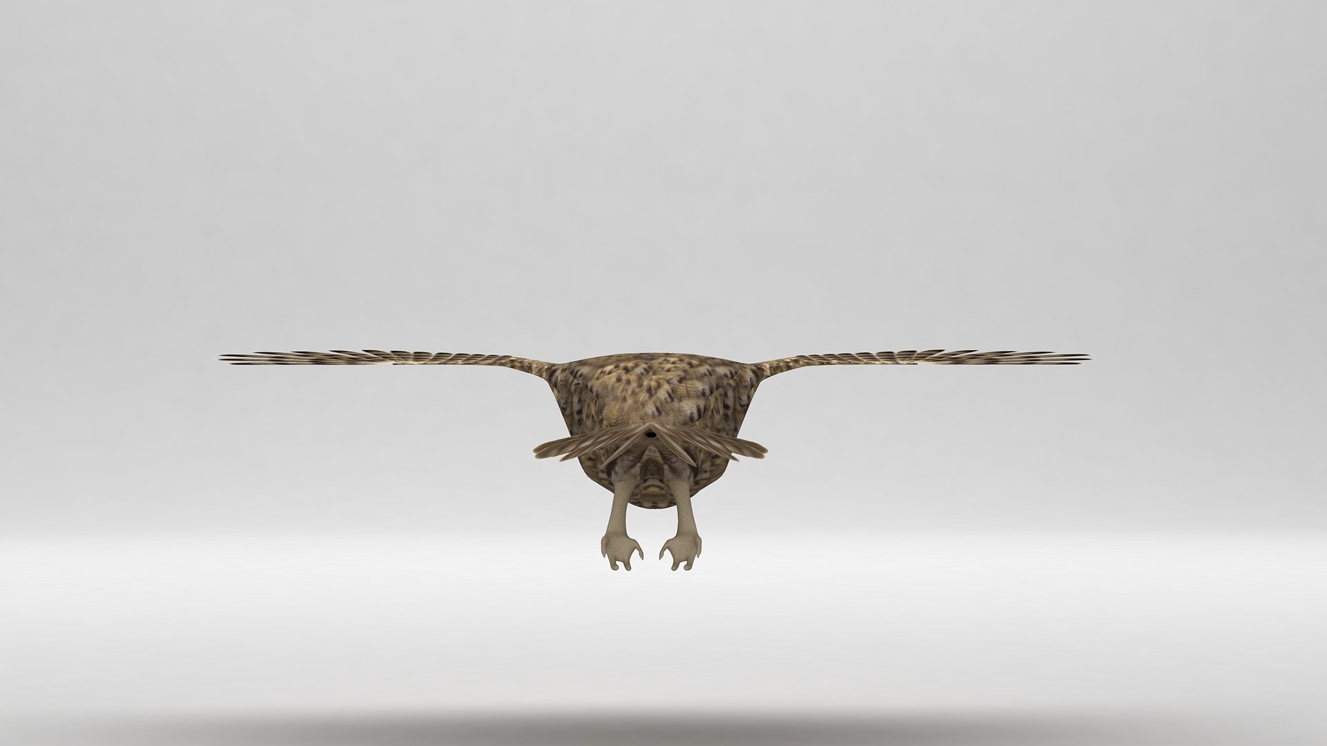 3D cartoon owl model - TurboSquid 1833553