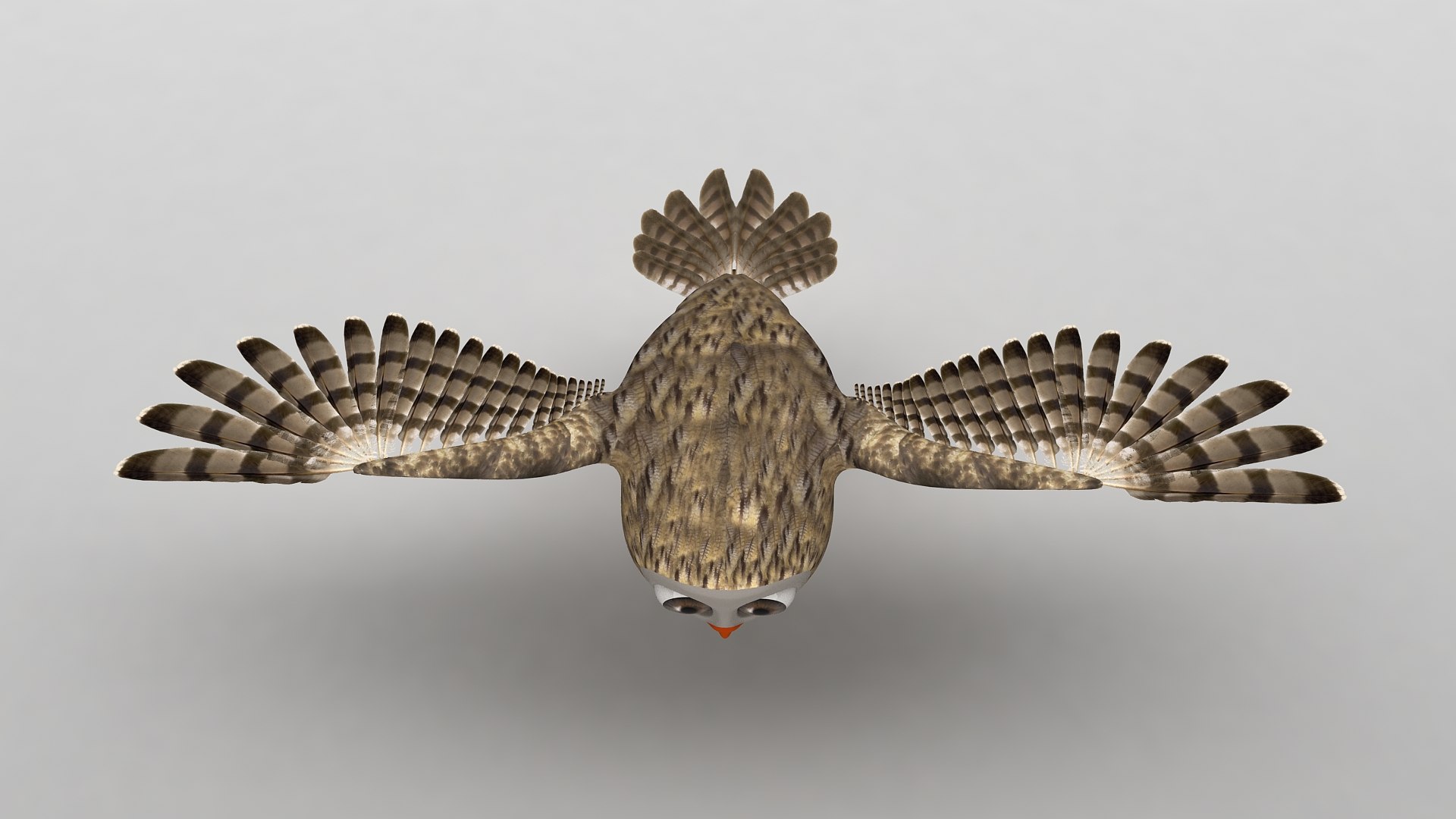 3D cartoon owl model - TurboSquid 1833553