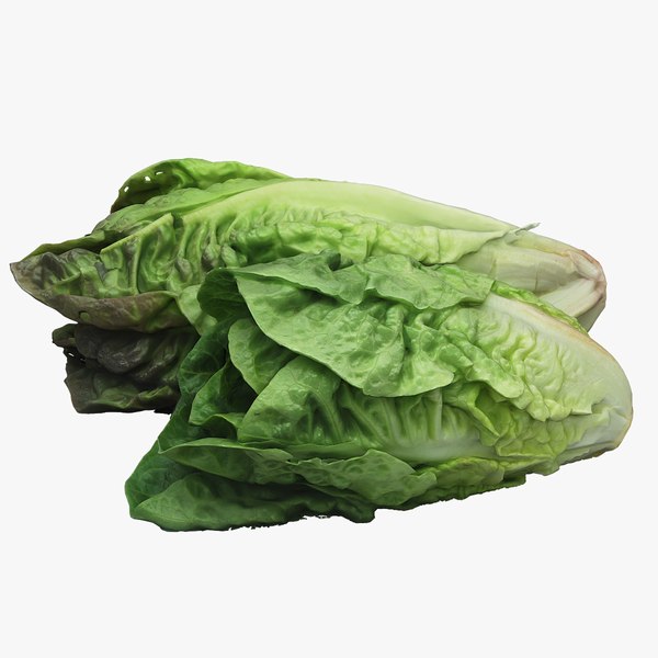 3D Lettuce Models | TurboSquid