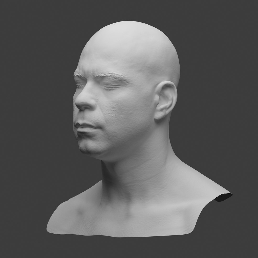 3d Model Scan Head