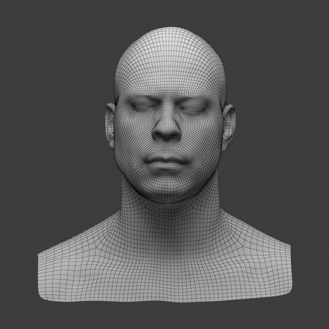 3d Model Scan Head