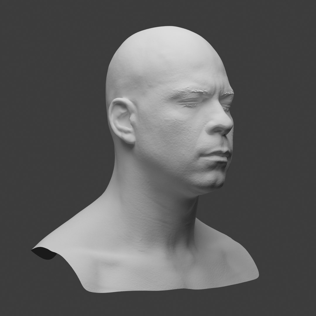 3d Model Scan Head
