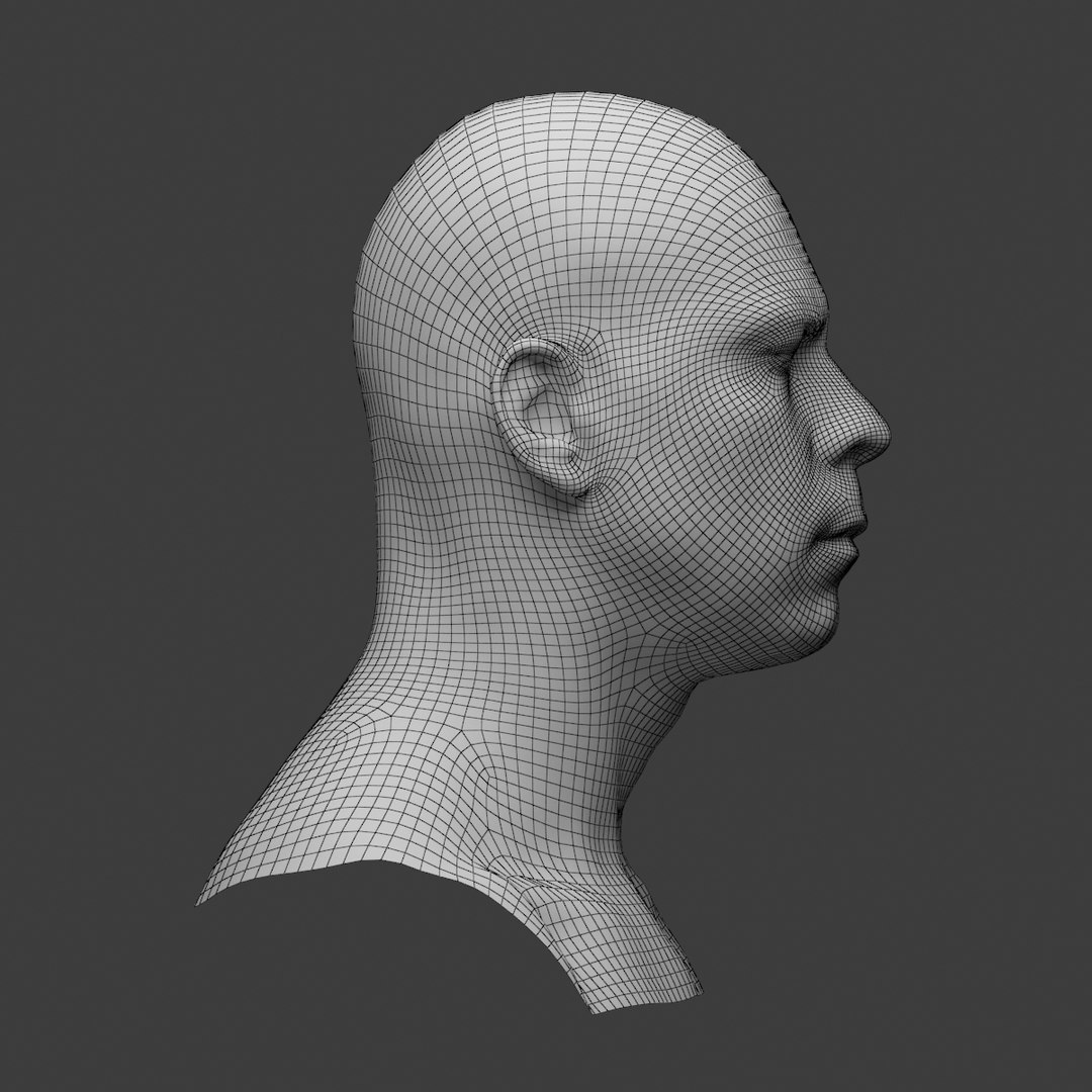 3d Model Scan Head