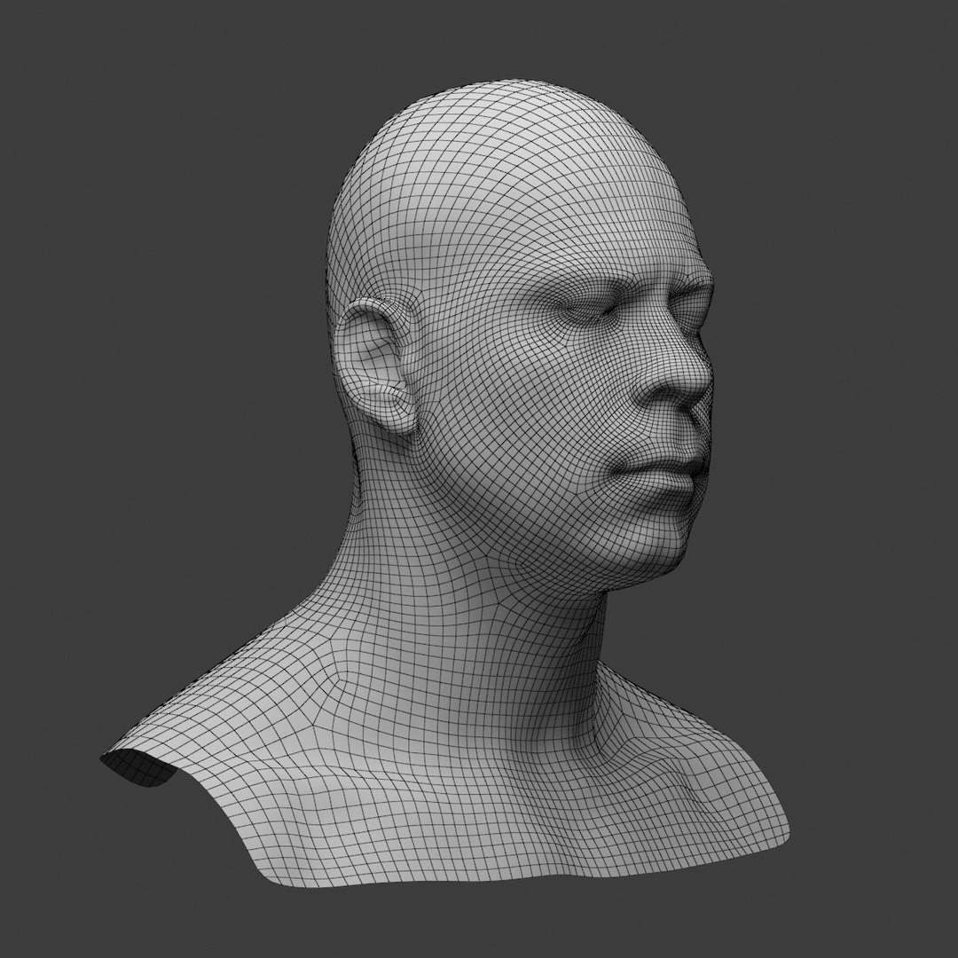 3d Model Scan Head