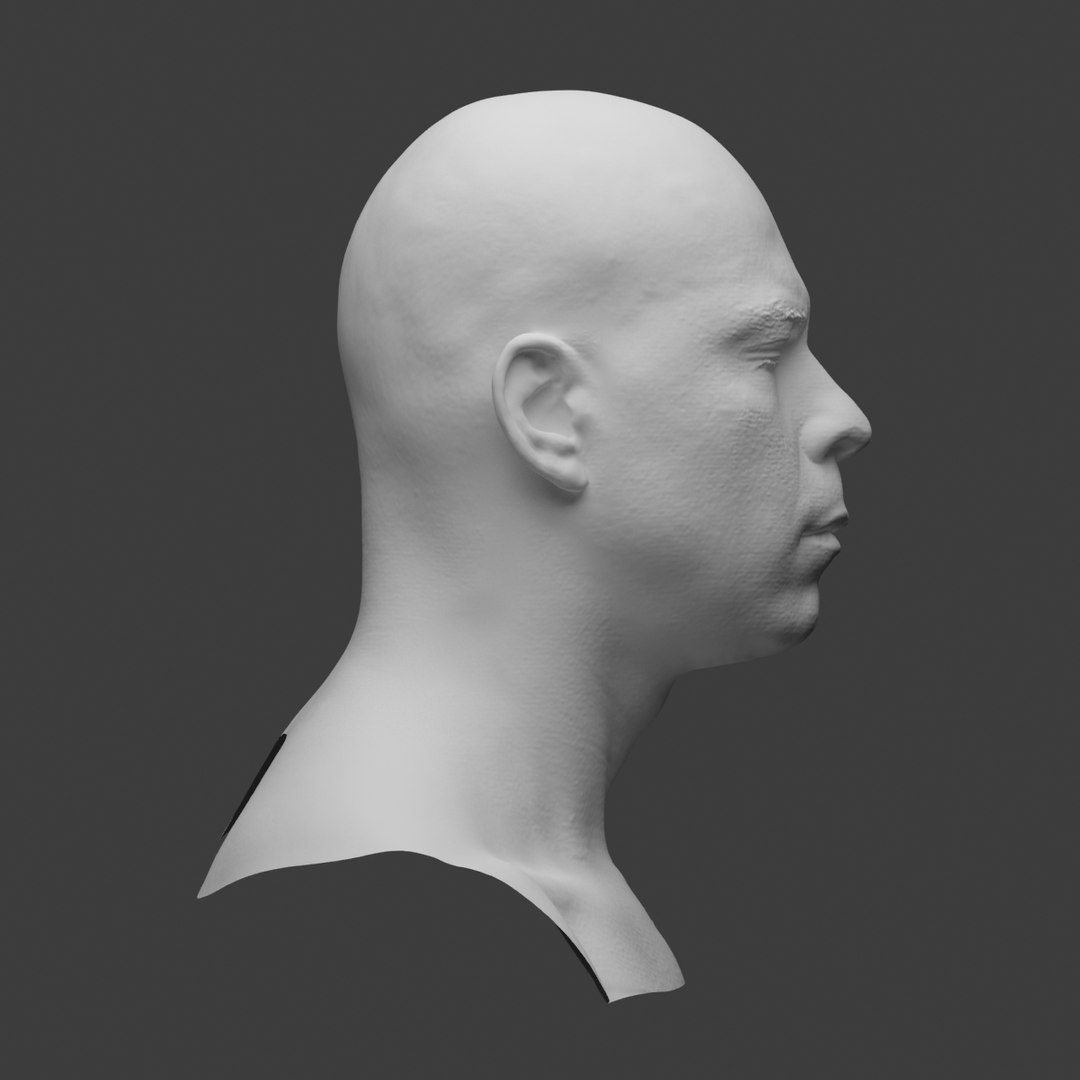 3d Model Scan Head