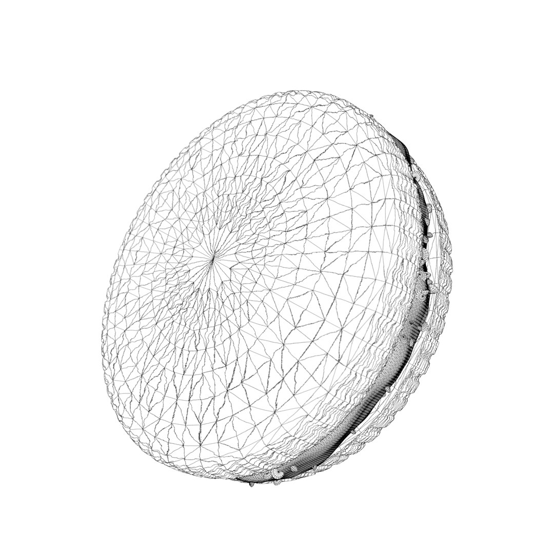 3D Oreo Model - TurboSquid 2164687