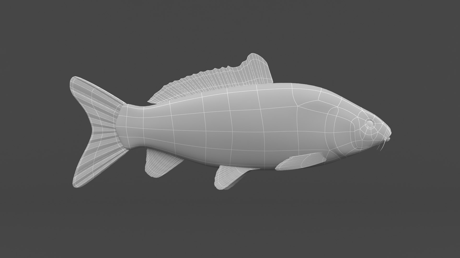 3D Fish Collection Model - TurboSquid 2115943