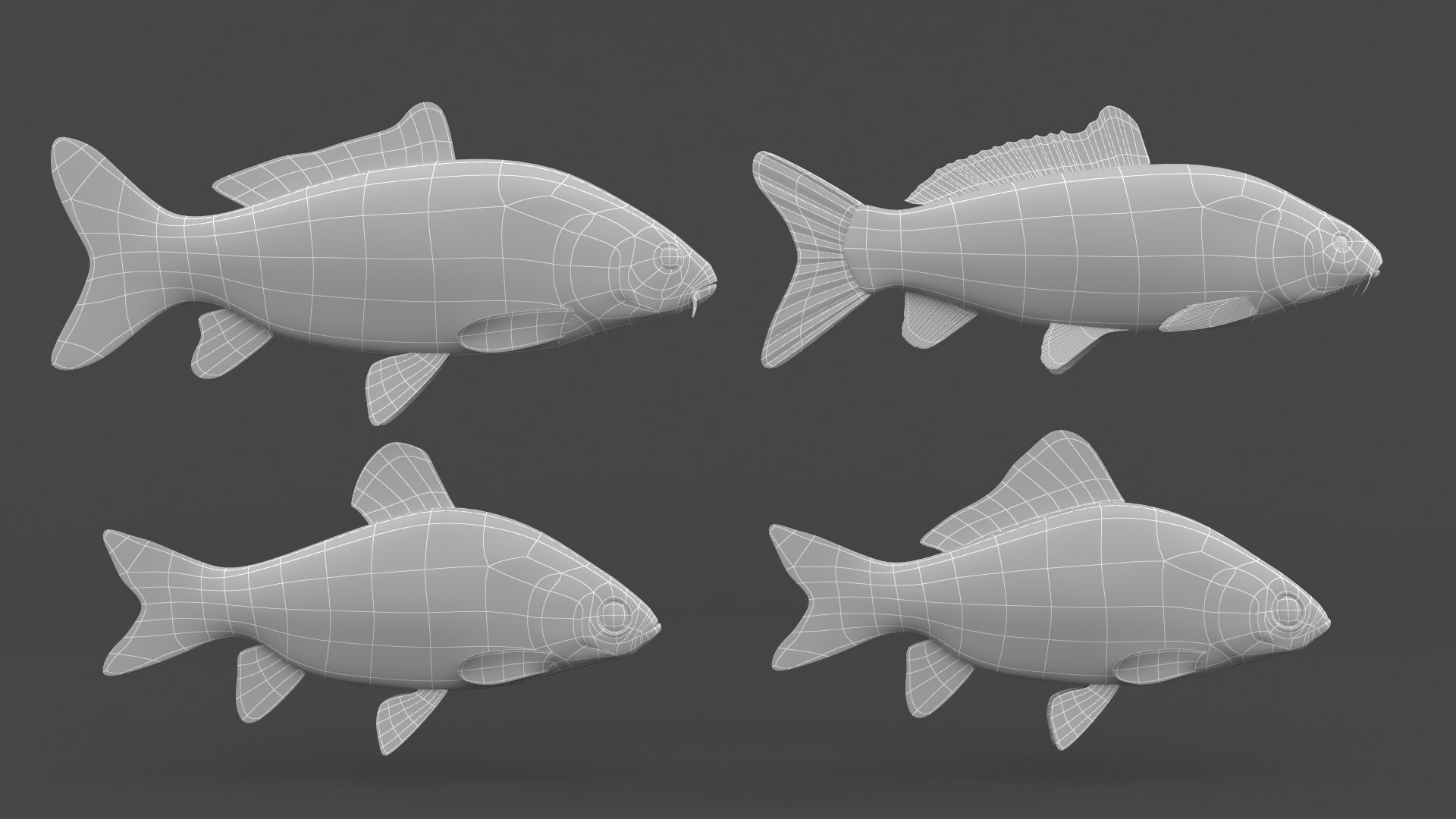 3D Fish Collection Model - TurboSquid 2115943