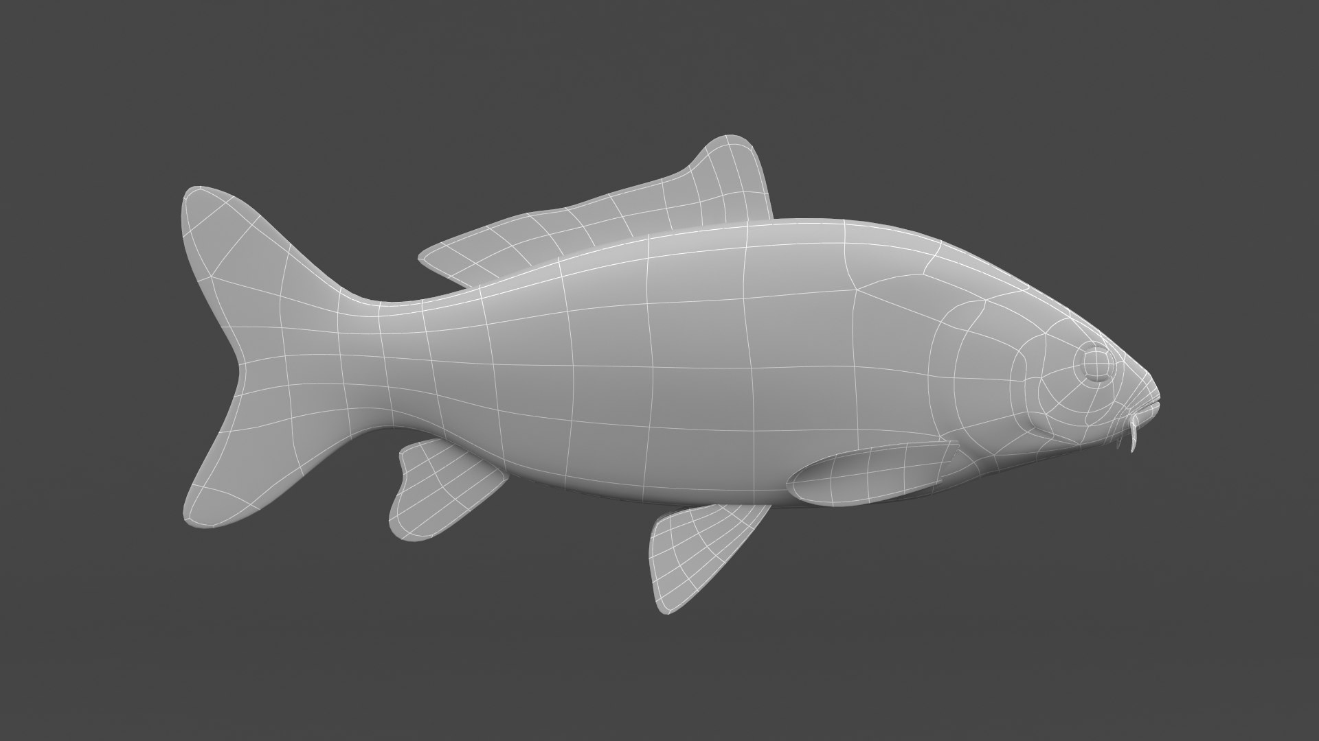 3D Fish Collection Model - TurboSquid 2115943