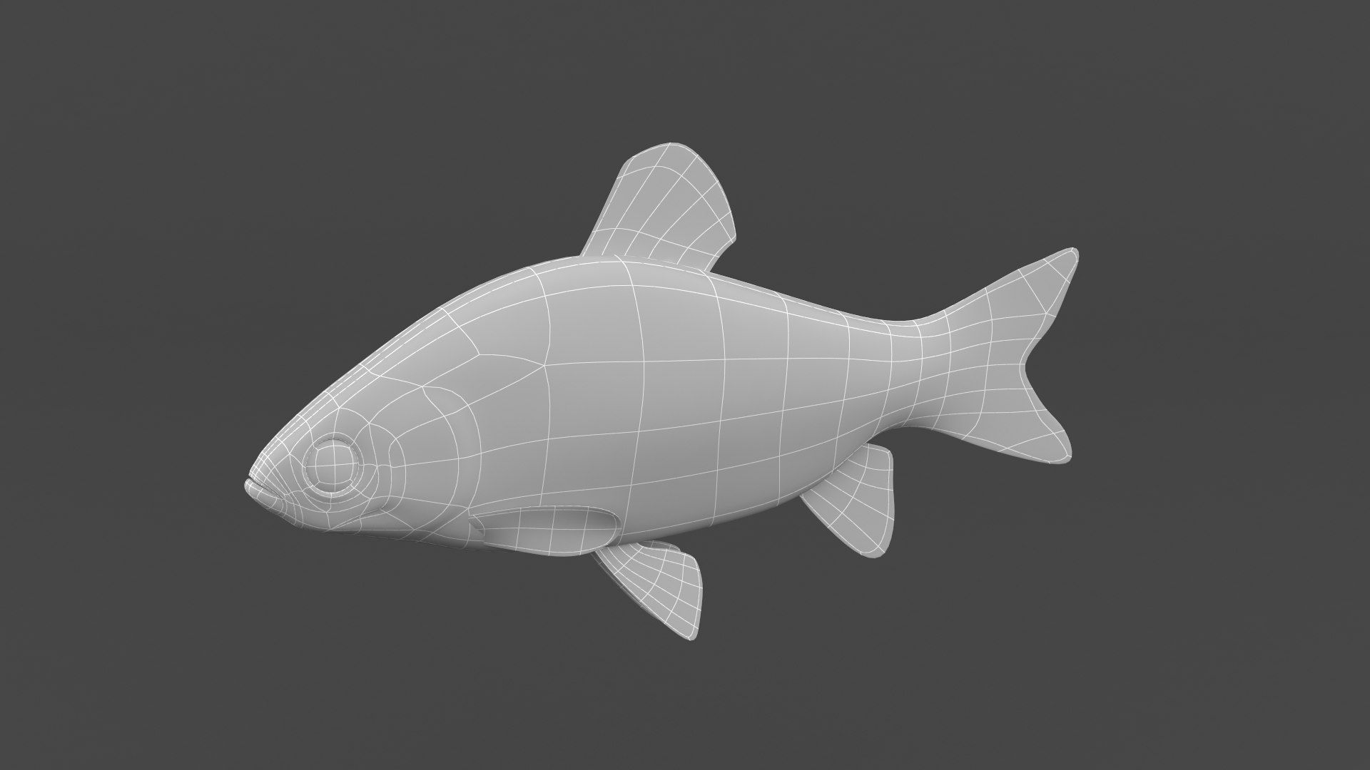 3D Fish Collection Model - TurboSquid 2115943
