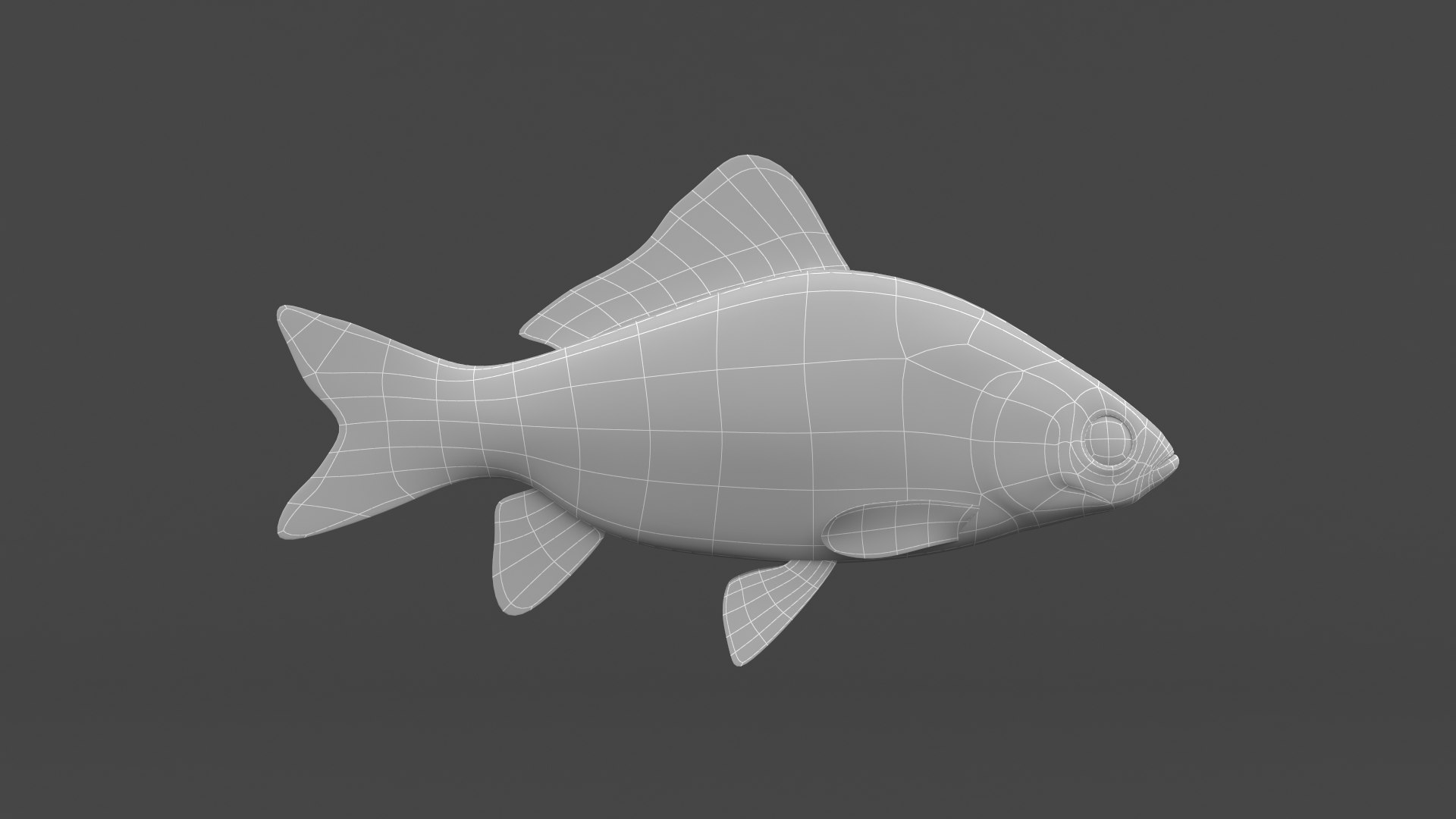 3D Fish Collection Model - TurboSquid 2115943