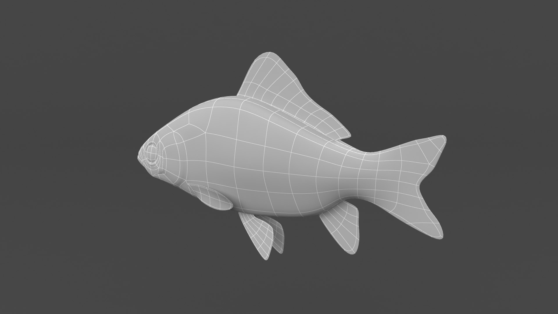 3D Fish Collection Model - TurboSquid 2115943