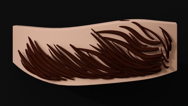 Eyebrow 3D model - TurboSquid 1851860