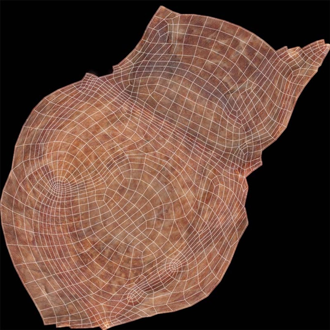 3D Red Meat Fondue 1 Remastered - TurboSquid 2362296