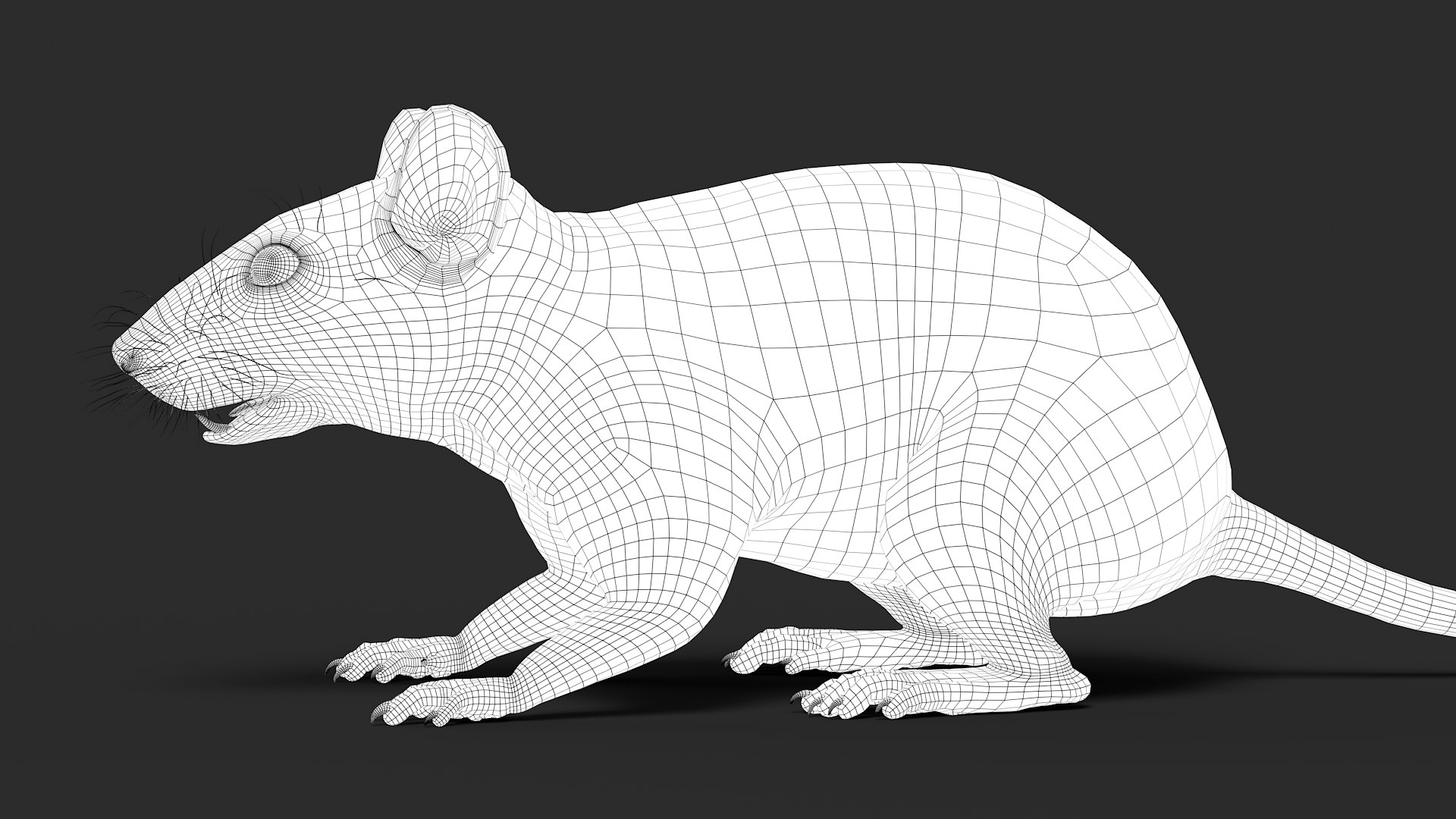 3D white mouse fur hair model - TurboSquid 1671898