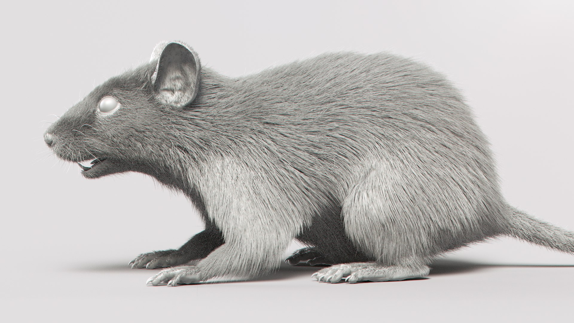 3D white mouse fur hair model - TurboSquid 1671898