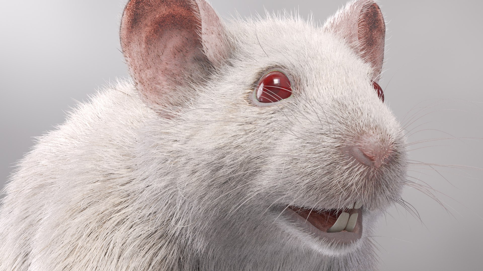 3D white mouse fur hair model - TurboSquid 1671898