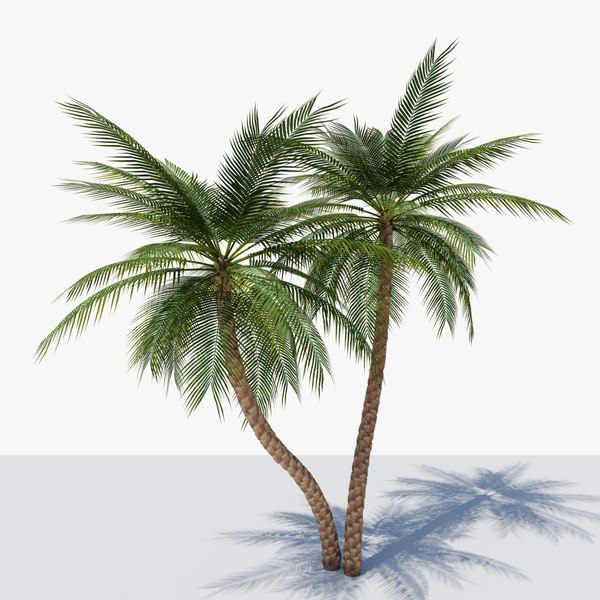modelo 3d Palmera datilera v5 - TurboSquid 2015847