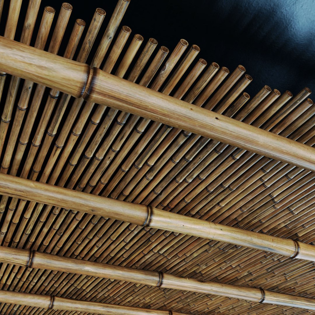 3D Branch Bamboo Long Low N4 - TurboSquid 1828821