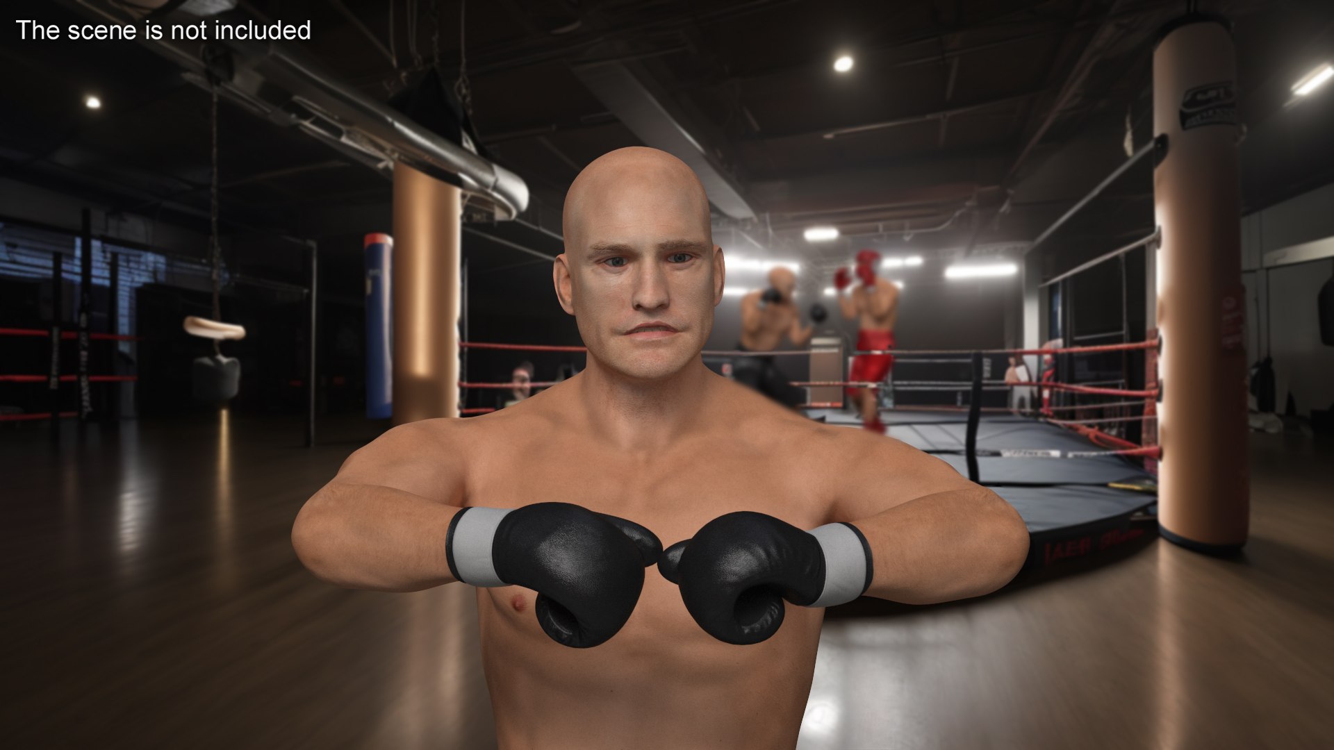 Male Boxer Figure Rigged 3D Model - TurboSquid 2384740