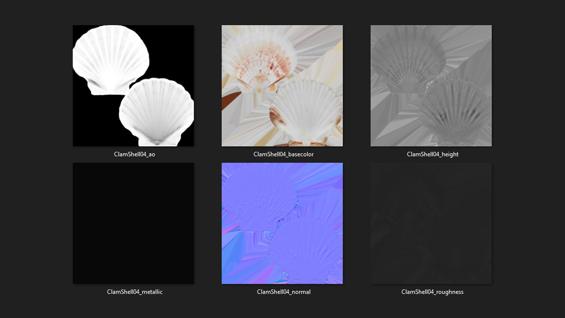 3D Clam Shell 04 Pose 2 Model - TurboSquid 2266433