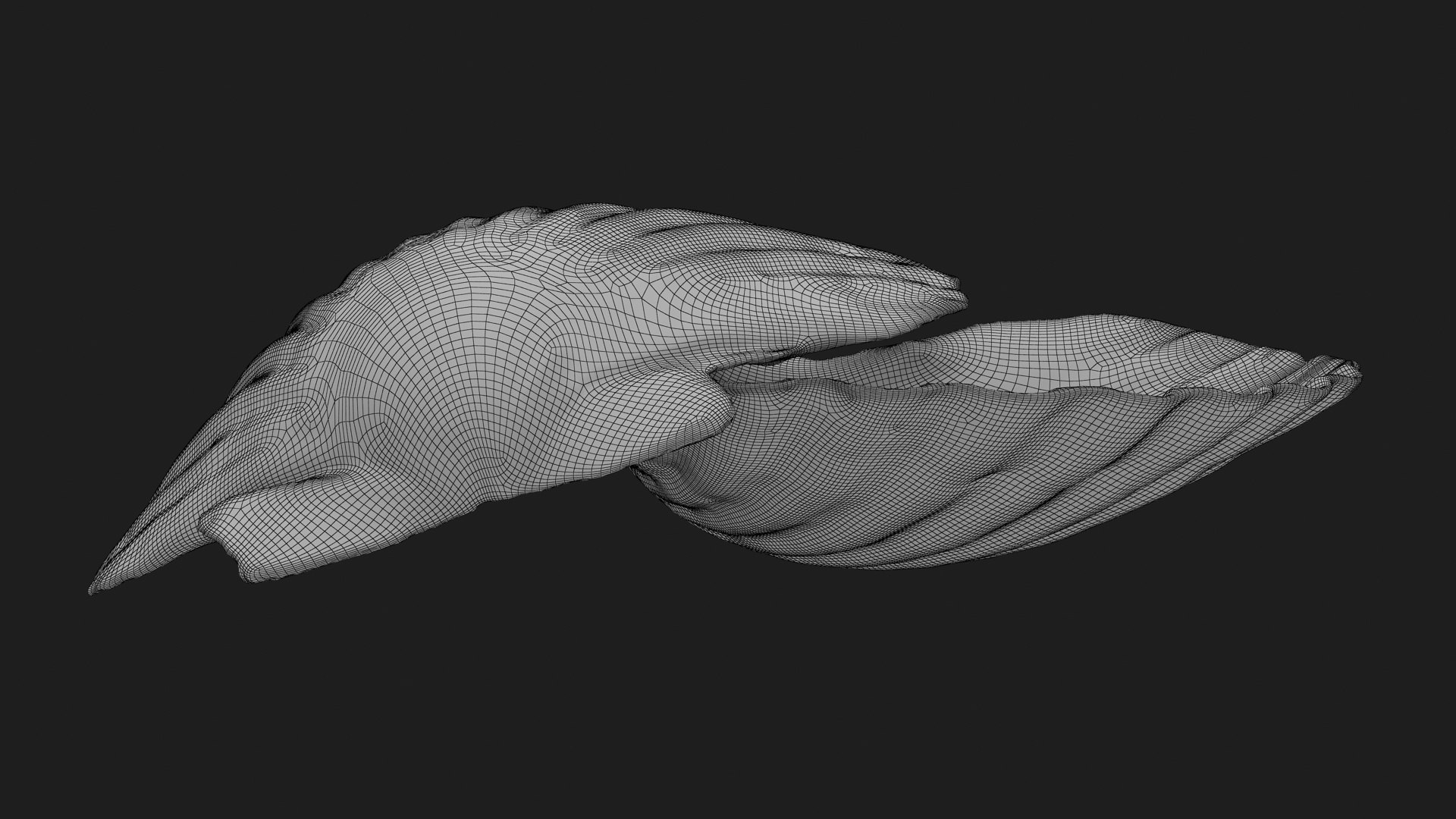 3D Clam Shell 04 Pose 2 Model - TurboSquid 2266433