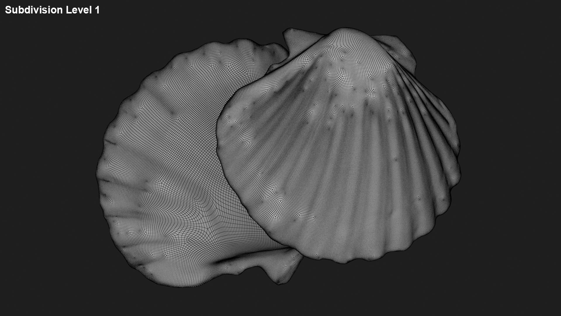 3D Clam Shell 04 Pose 2 Model - TurboSquid 2266433