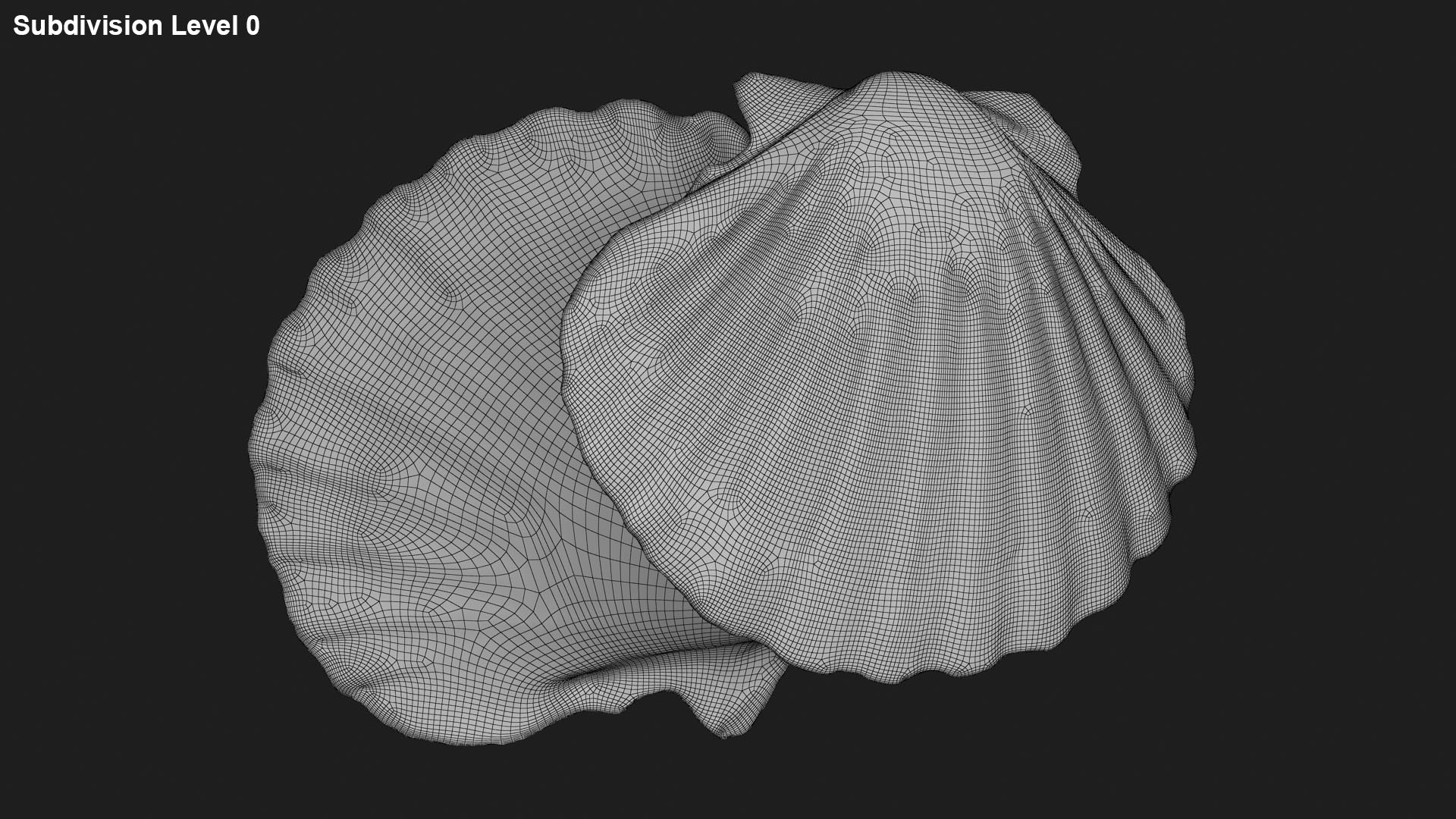 3D Clam Shell 04 Pose 2 Model - TurboSquid 2266433