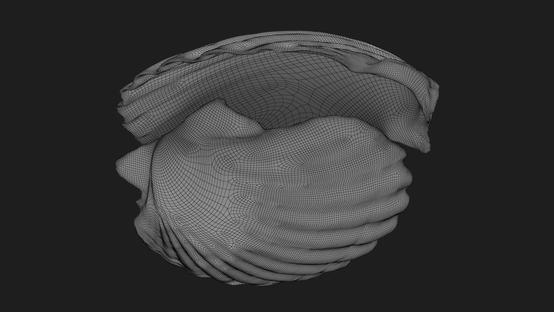 3D Clam Shell 04 Pose 2 Model - TurboSquid 2266433