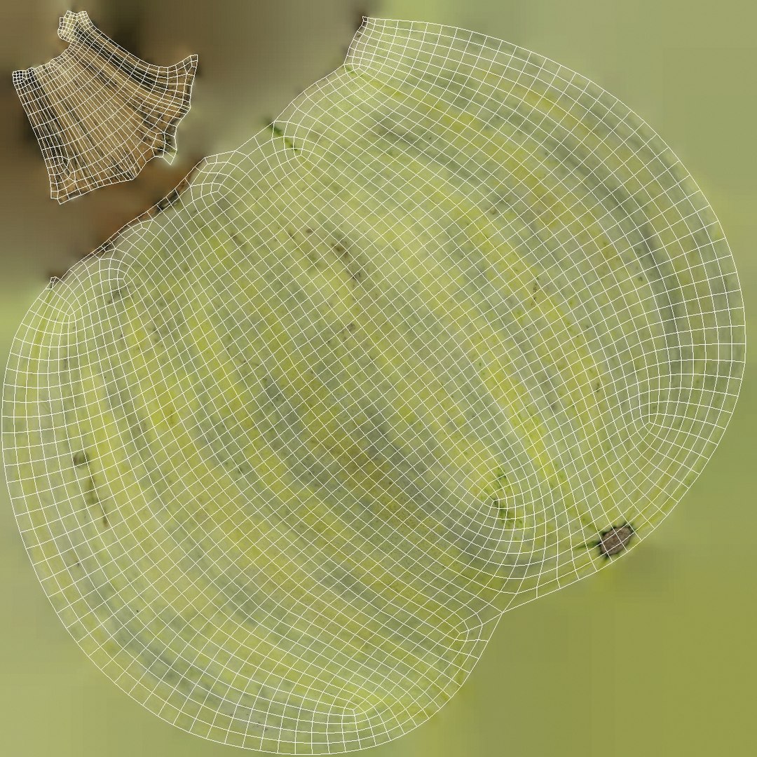 Pumpkin Subdivision Displacement 3D Model - TurboSquid 1385982