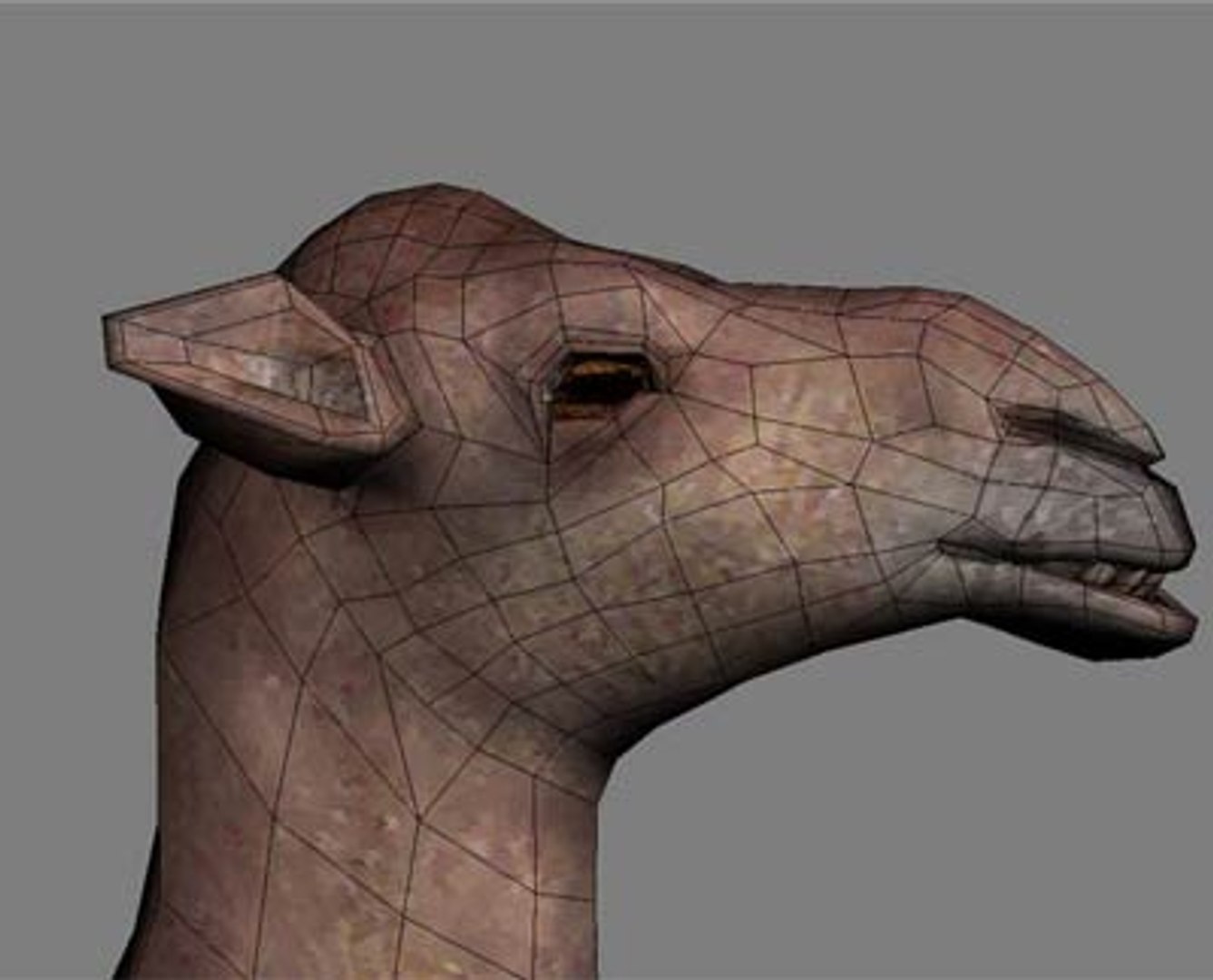 3d Dromedary Camel