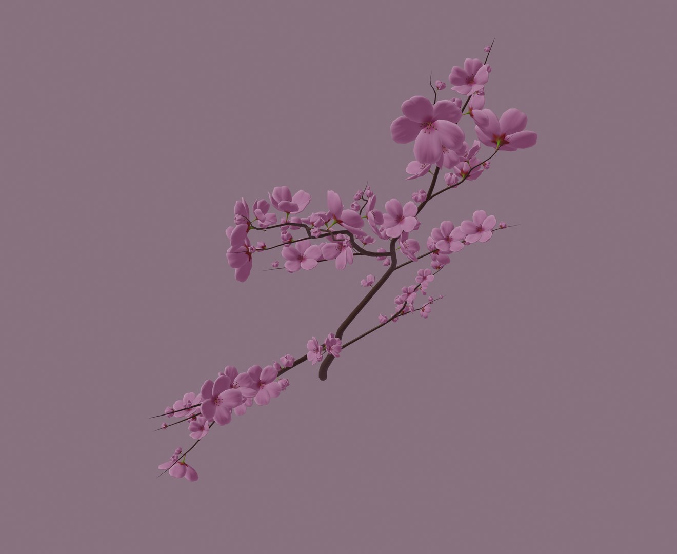 Cherry Blossom Model - TurboSquid 1608967