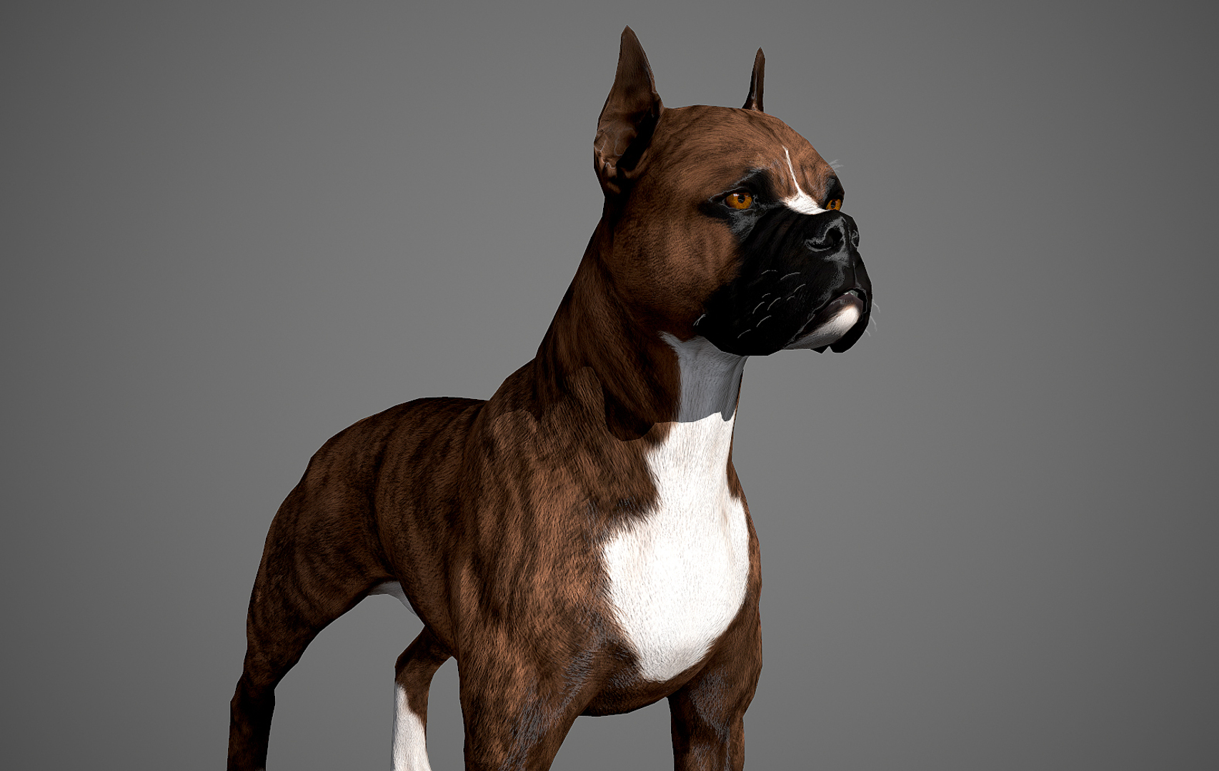 boxer dog real-time real time 3ds
