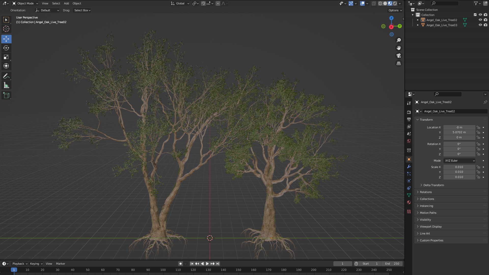 3D Angel Oak Live Tree02 Model - TurboSquid 2154228