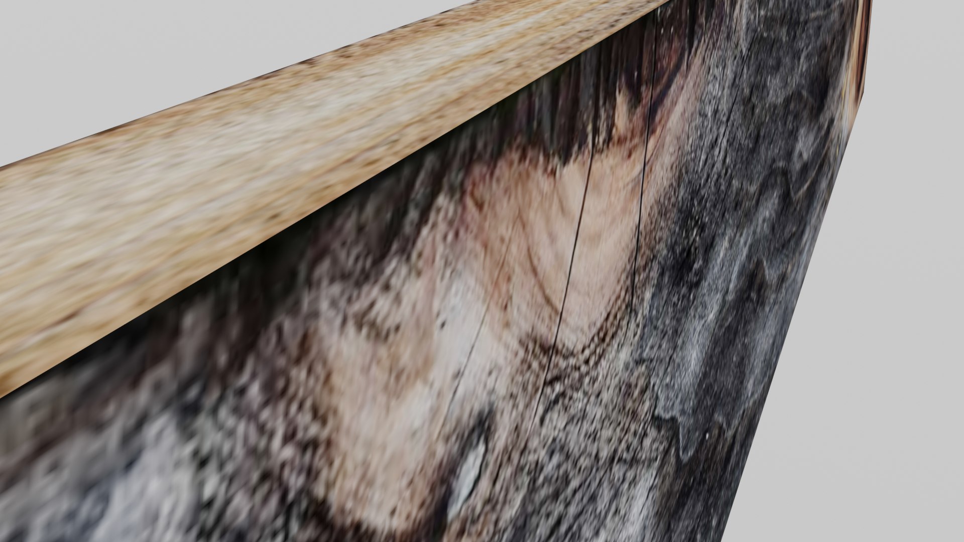 3D Realistic Plank - TurboSquid 1466923