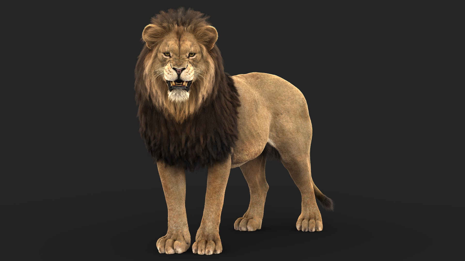 Lion 2024 XGEN CORE 3D - TurboSquid 2171122