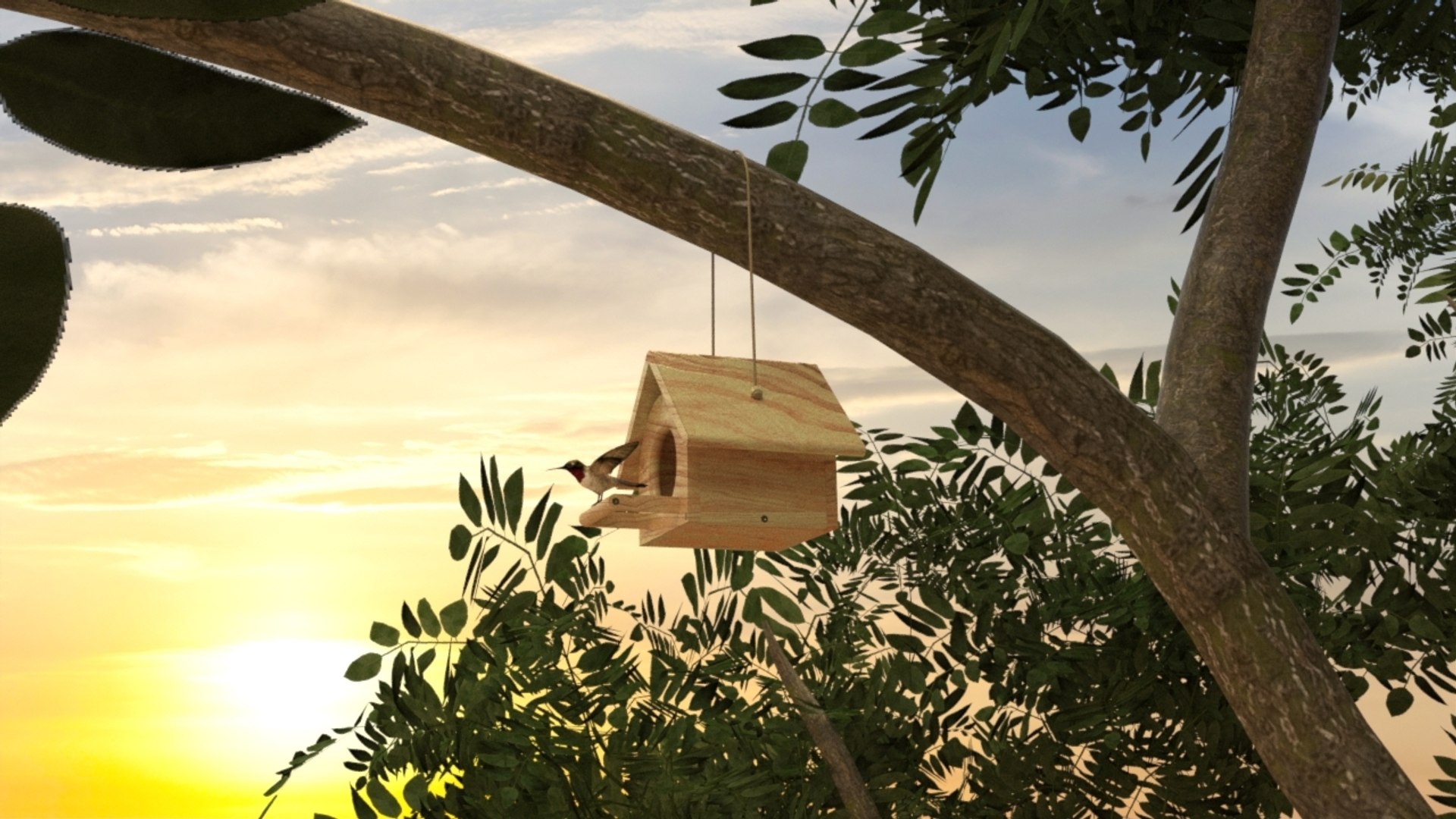 Bird Box 3D Model - TurboSquid 1488898